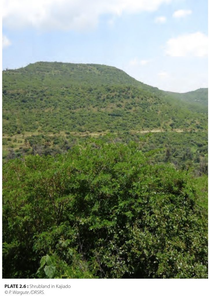Shrublands - Biodiversity atlas Kenya