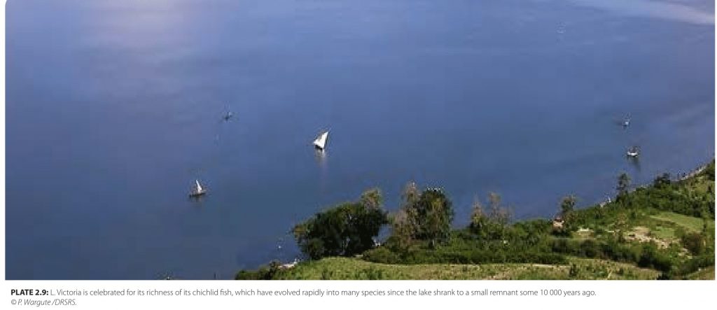 Lakes, Dams and Rivers - Biodiversity atlas Kenya