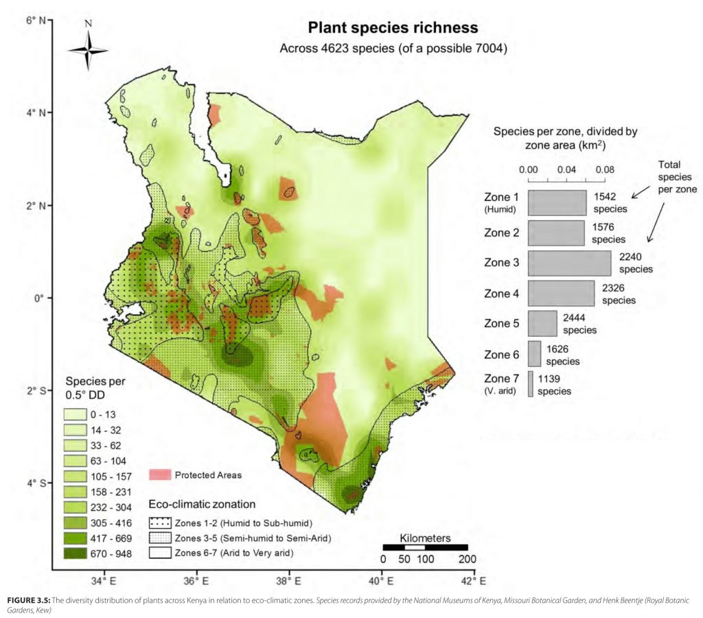 Plantae - Biodiversity atlas Kenya