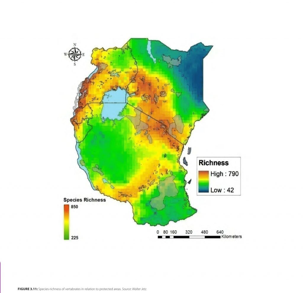 Animalia - Biodiversity atlas Kenya