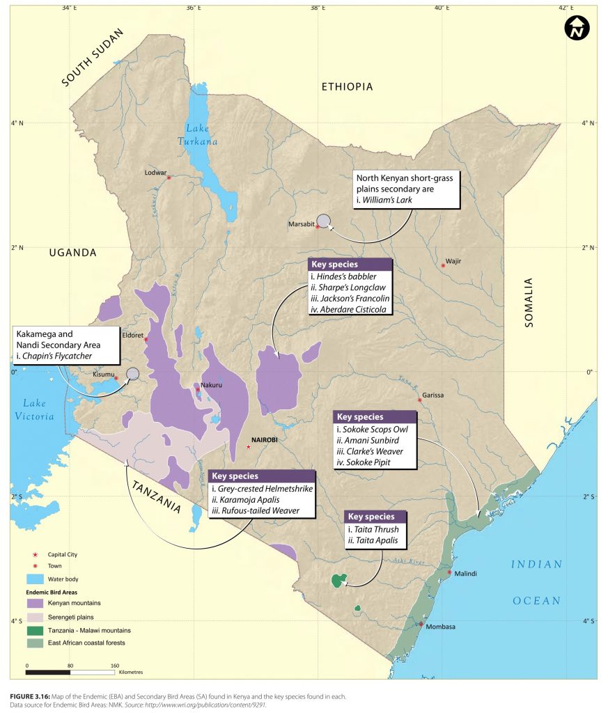 Birds - Biodiversity atlas Kenya