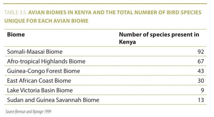 Birds - Biodiversity atlas Kenya