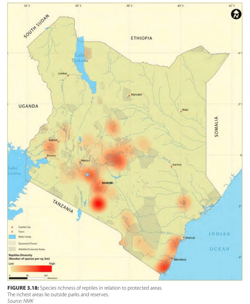 Reptiles and Amphibians - Biodiversity atlas Kenya